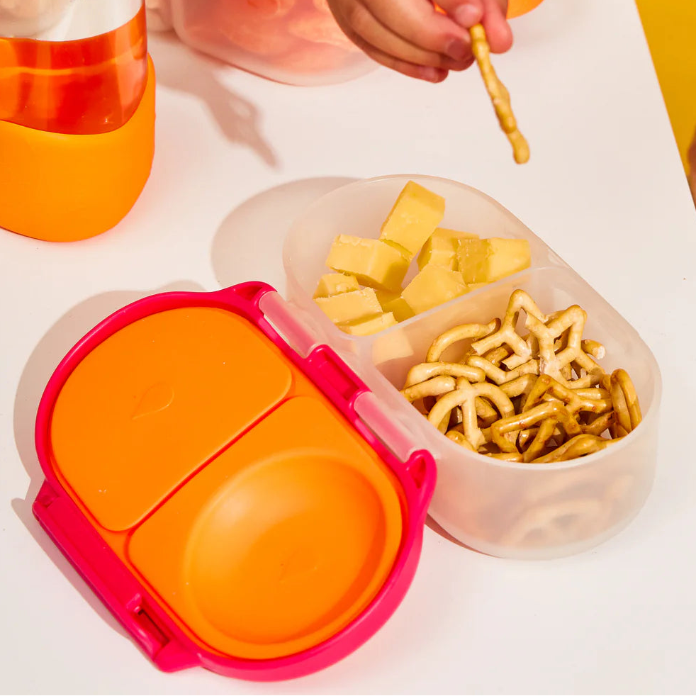 Buy B.Box Snack Box – Biome New Zealand Online