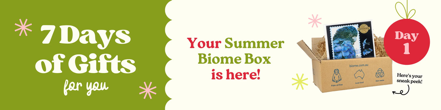 Eco Friendly, Natural, Vegan, Zero Waste Products Australia - Biome New ...