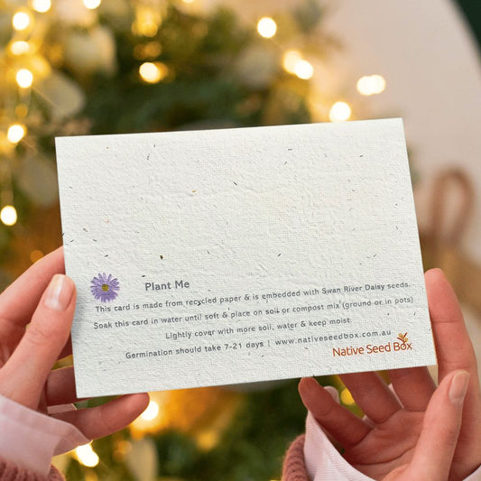 Adorable Australian Christmas Cards – Biome New Zealand