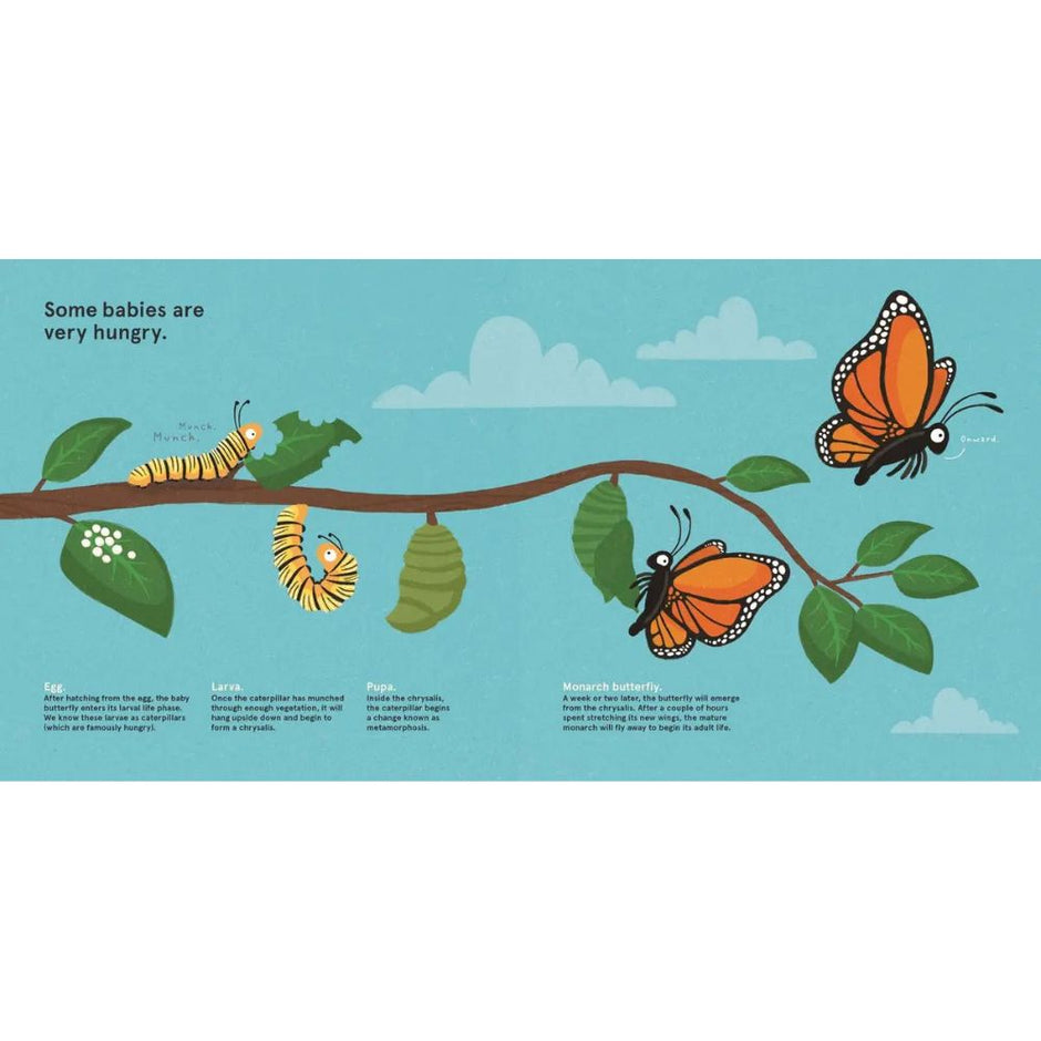 Everything You Need to Know About Castor Oil Packs – Biome New Zealand