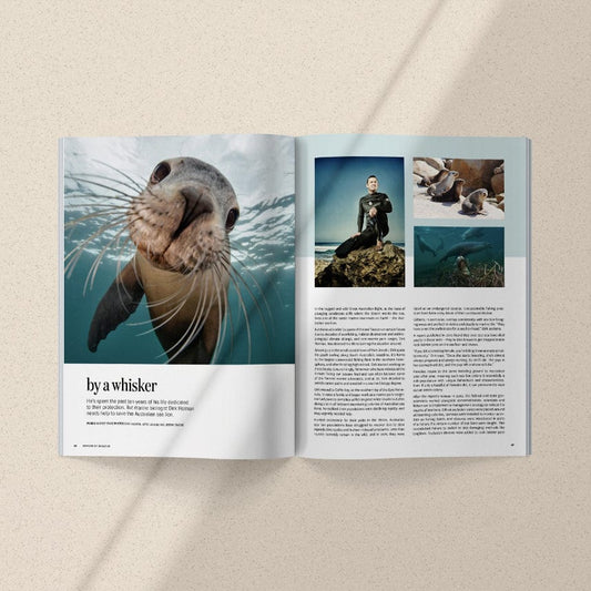 Consumerism & Fashion – Biome