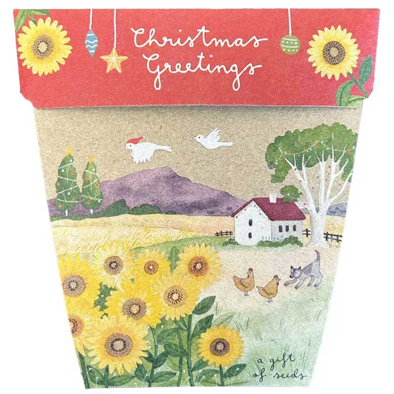 Single Christmas Cards – Biome New Zealand