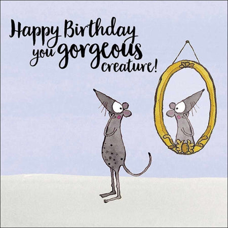 Buy Kate Knapp Card - Happy Birthday You Gorgeous Creature – Biome New ...